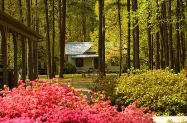 Looking Forward to Spring in JoCo