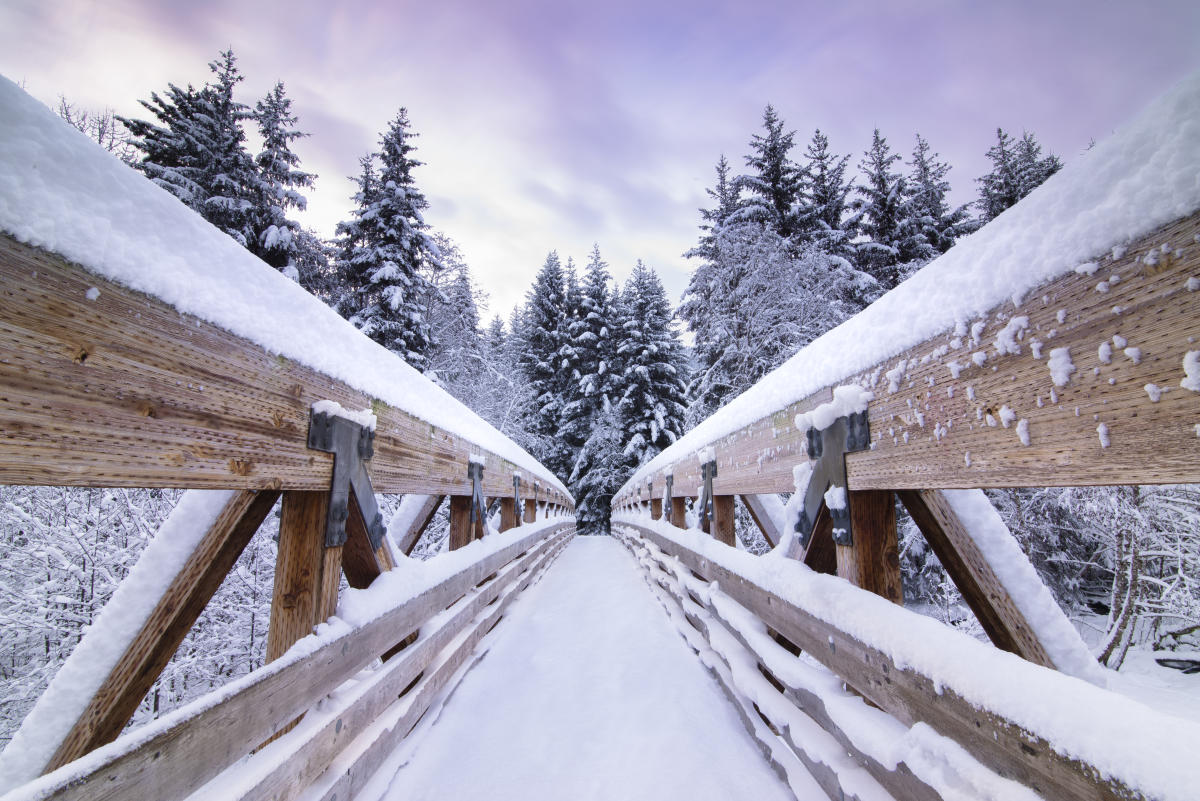 Things to Do in Juneau in Winter | Skiing & Museums