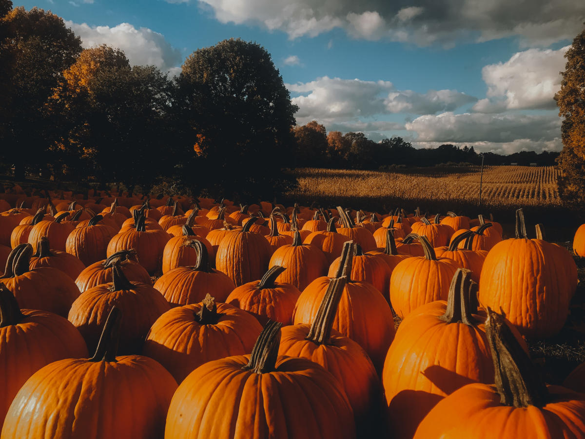 Discover Fall in Kalamazoo, Michigan