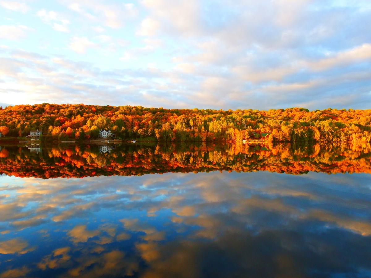 Unexpected Ways to Enjoy Fall Color in Kalamazoo, MI