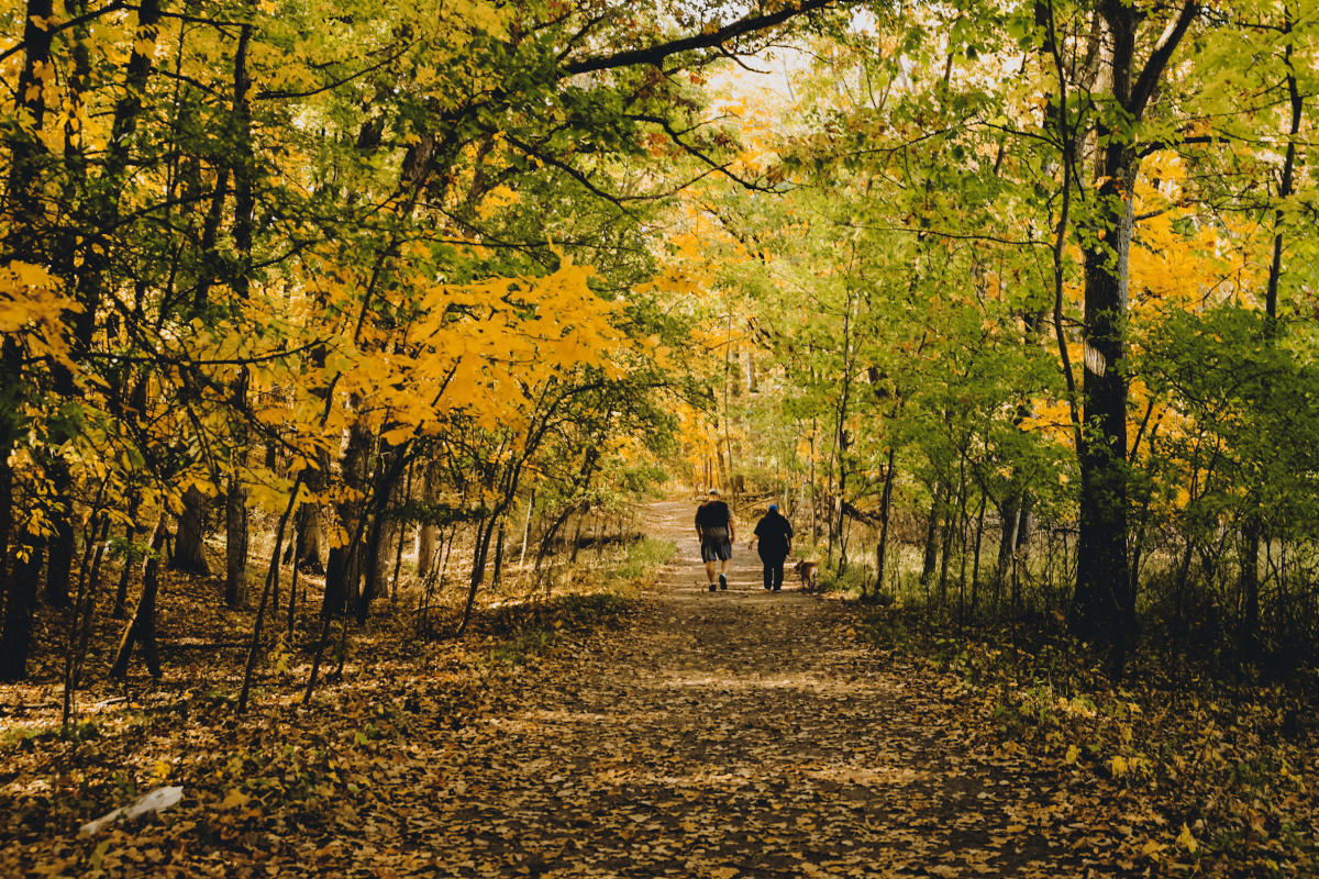 8 Stunning Spots for Fall Color in Kalamazoo