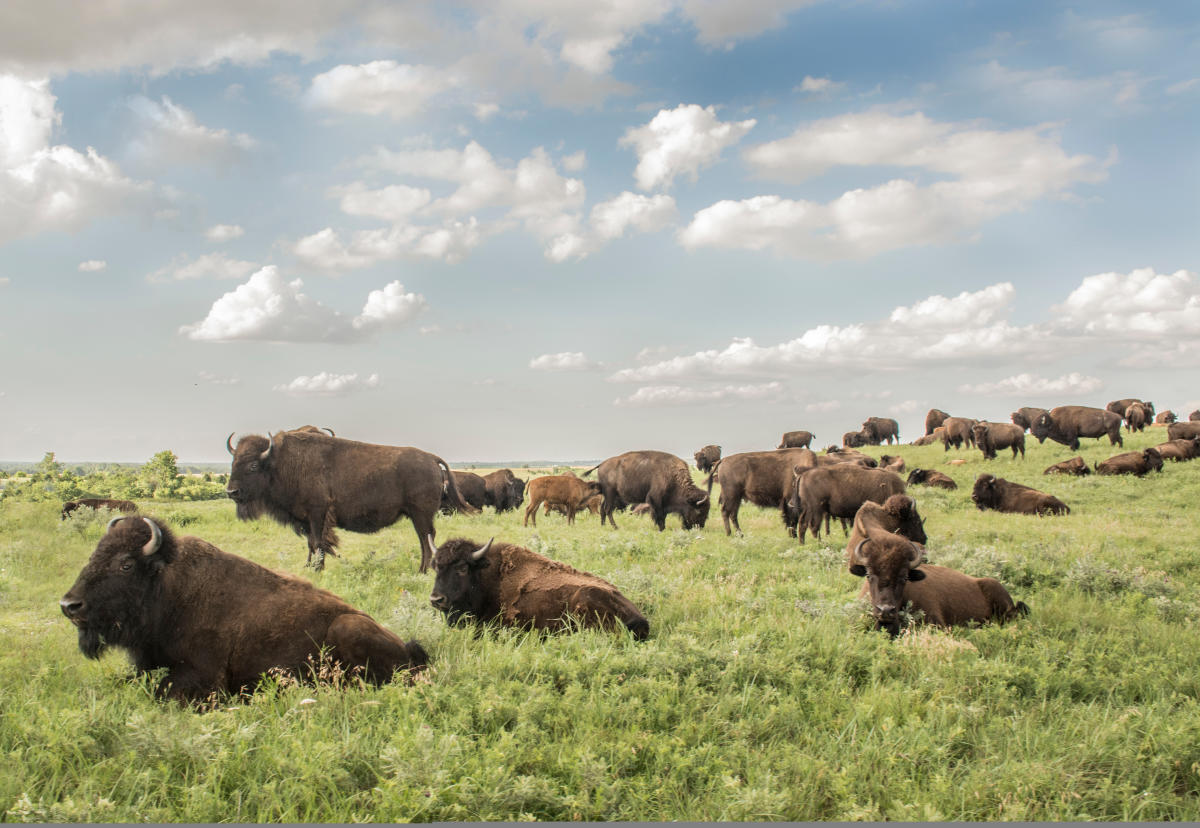 Prairie Trail Scenic Byway - Kansas Byways