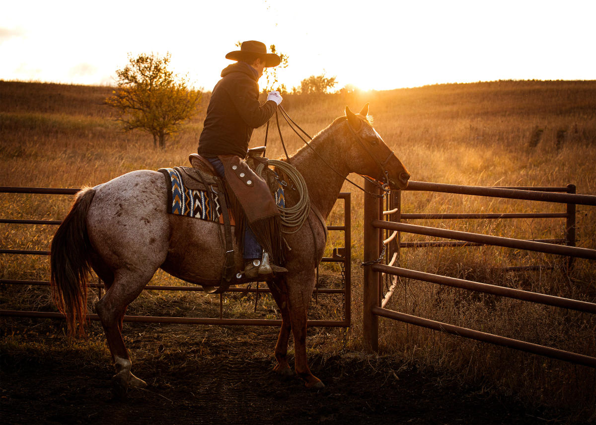 Kansas Cowboy-Cations