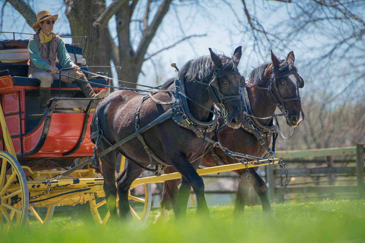 Historic Agriculture in Kansas | Farms & Attractions