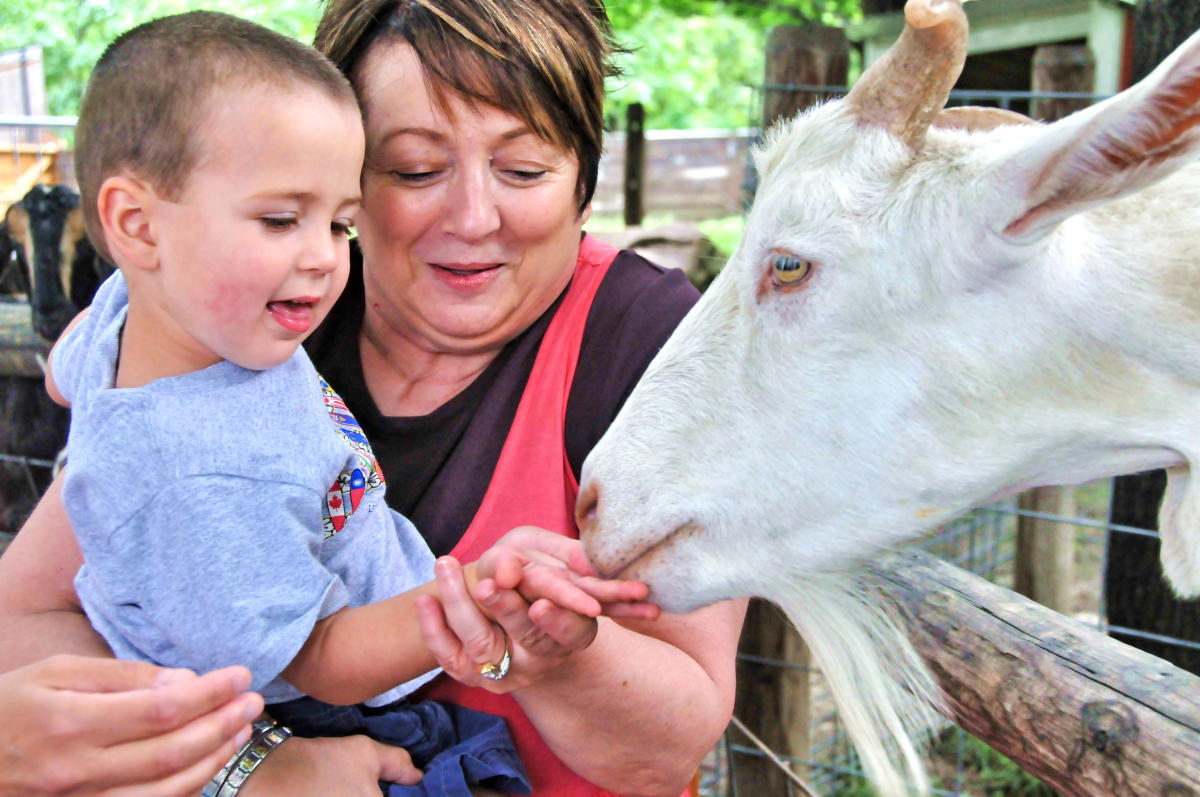 Kansas Animal Experiences | Petting Zoo & Horseback Riding
