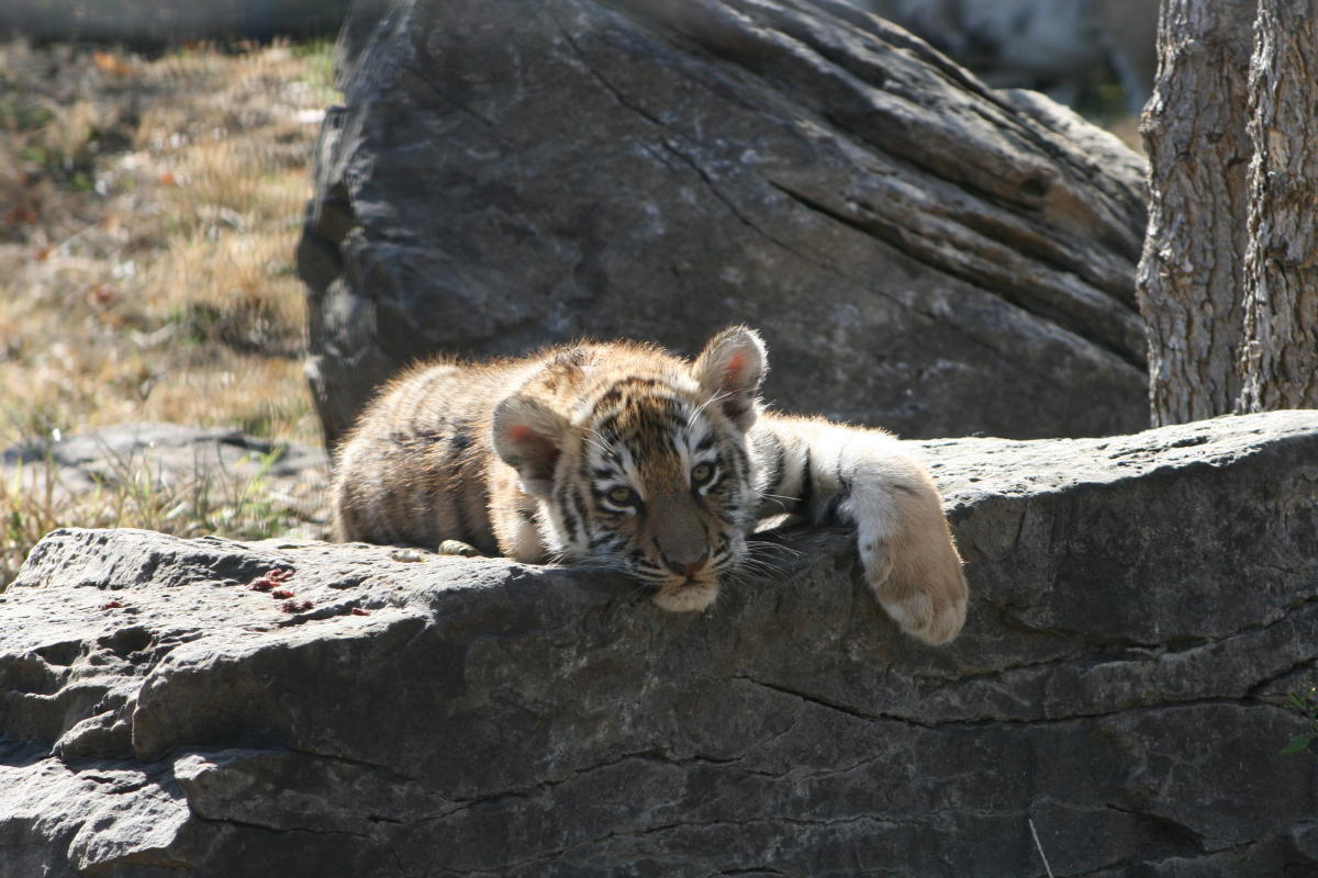 Tourism Division, Kansas Department of Wildlife, Parks & Tourism