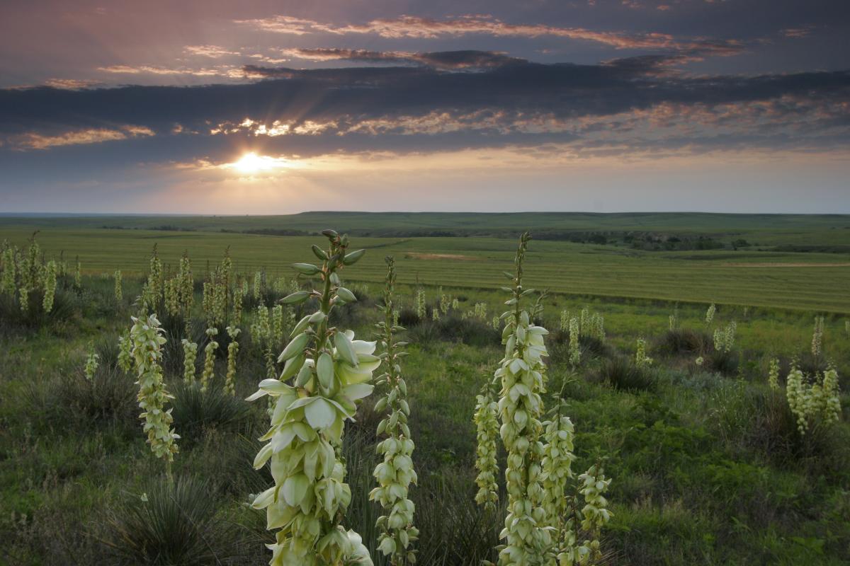 Kansas Travel FAQs | Questions, Answers, and Tall Tales