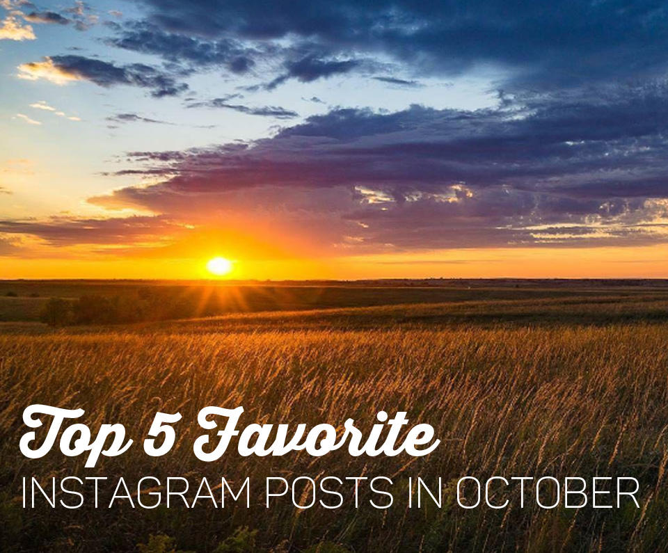 Top 5 Instagram Fan Photos | October