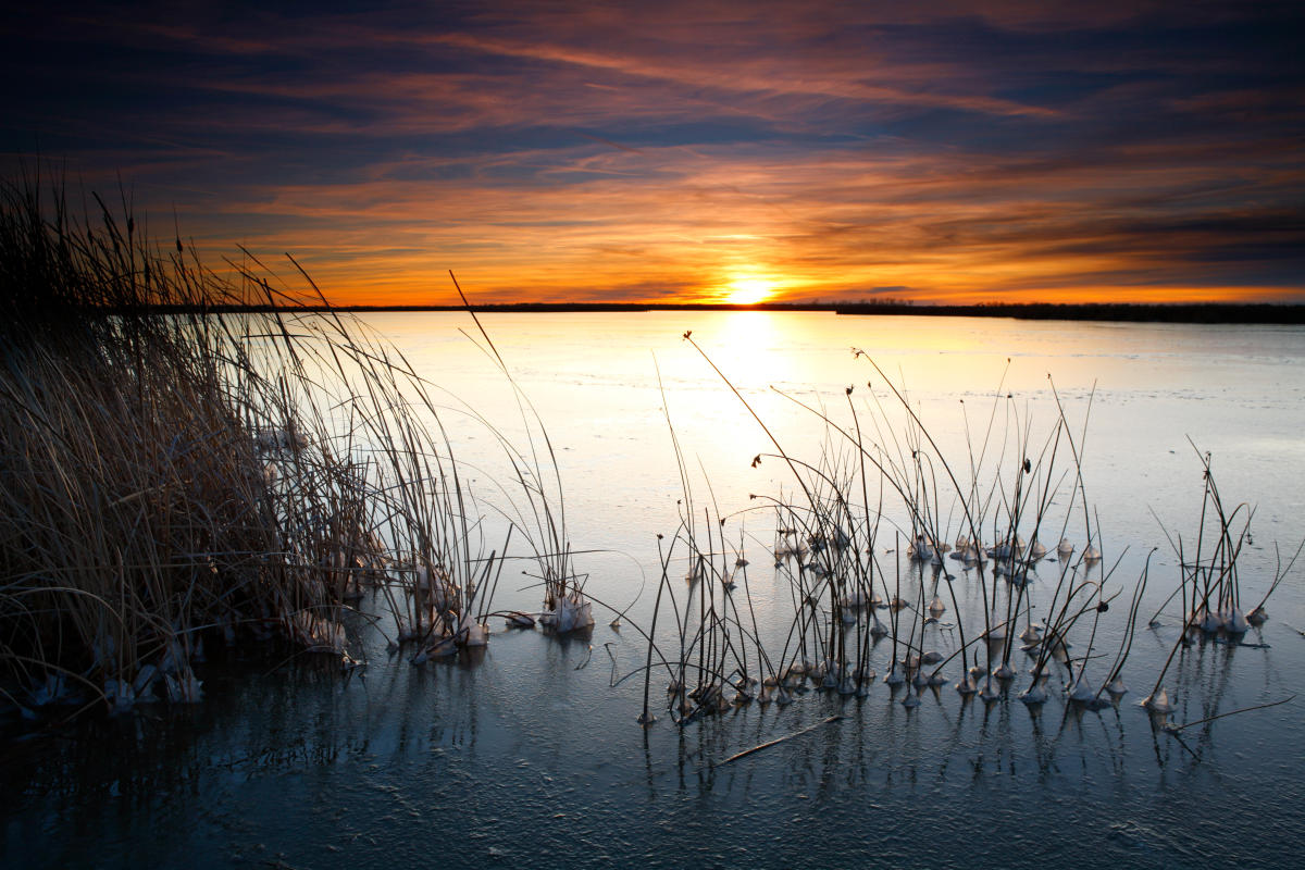 Kansas Wetlands Education Center | Explore Kansas Wetlands | Great Bend ...
