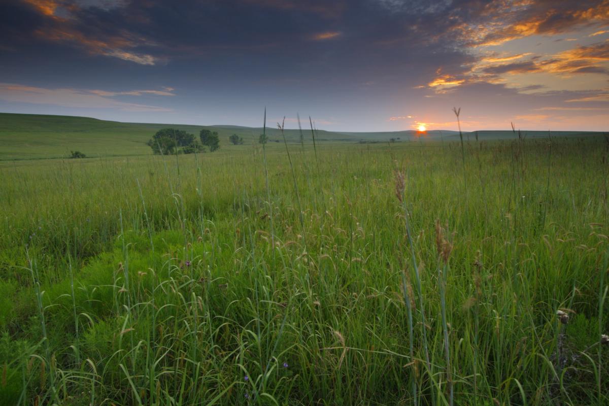 National Parks, Refuges, Grasslands, and Preserves of Kansas