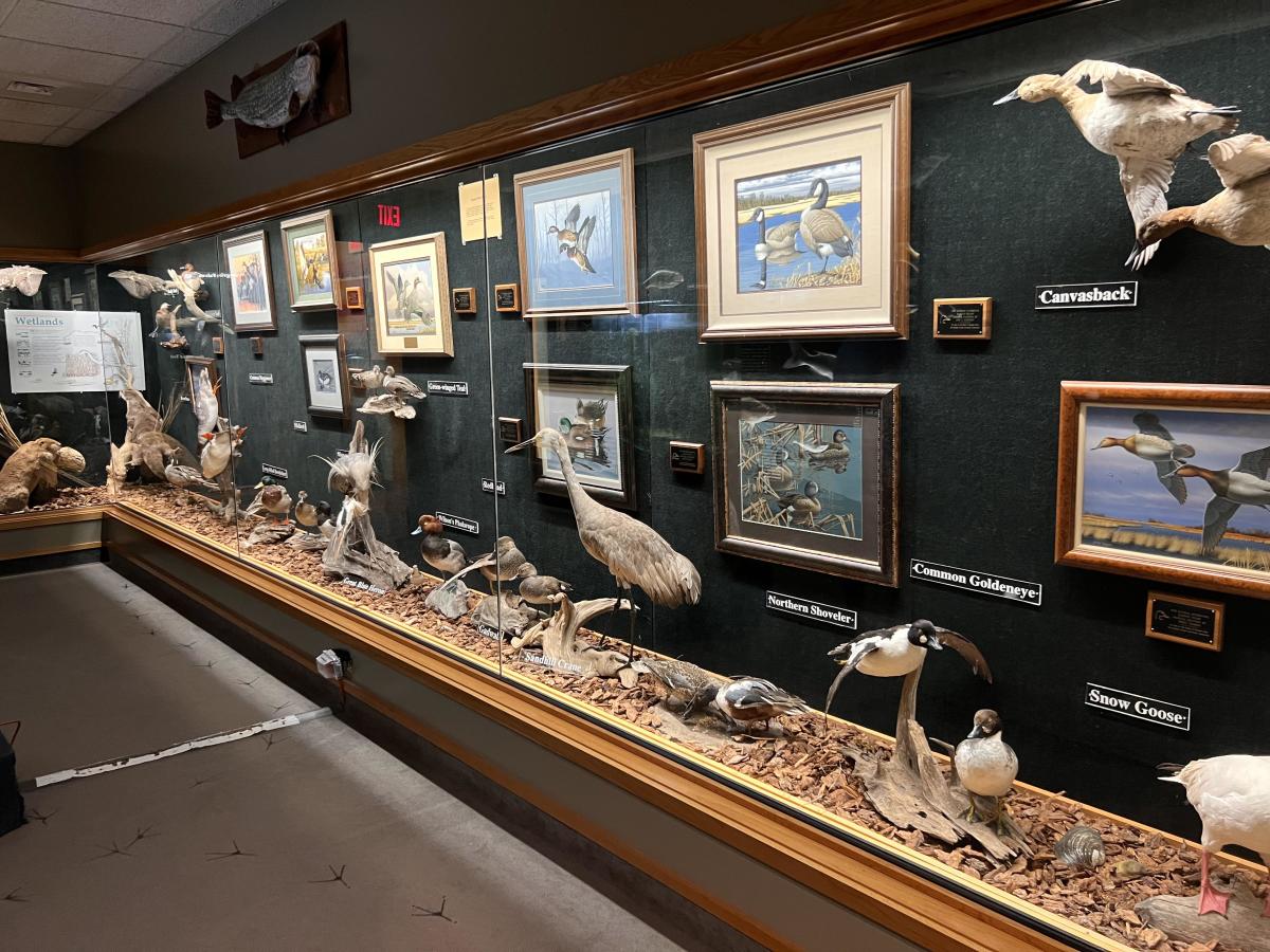 Wildlife & Nature Centers