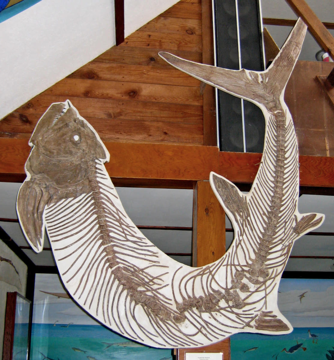 Discover Museums and Historical Places on Highway 83