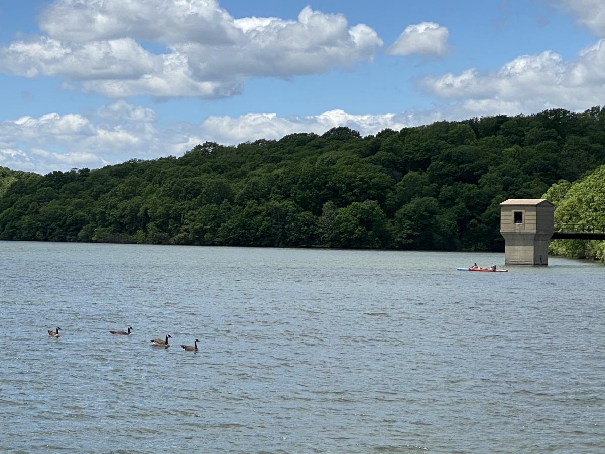 Kansas City, KS Parks Guide