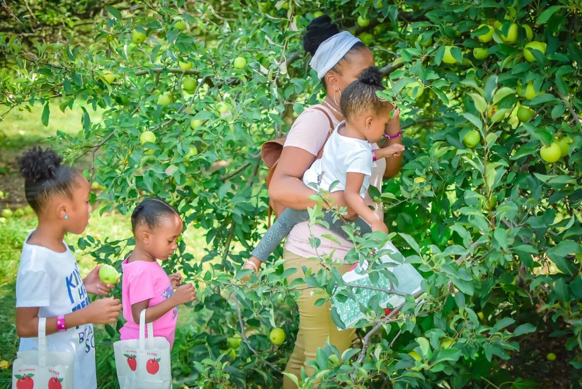 A Picture Perfect Fall Outing in Kansas City, KS