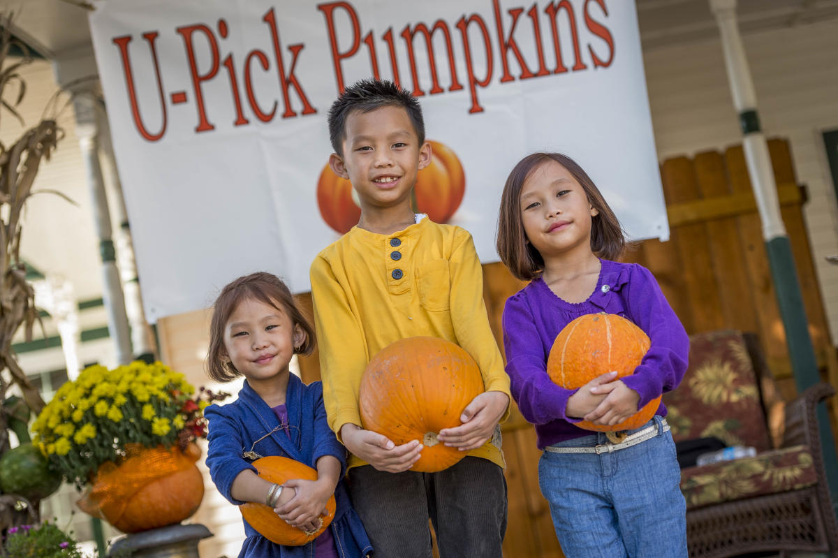 The Most Photo-Worthy Fall Scenes in Kansas City, Kan.