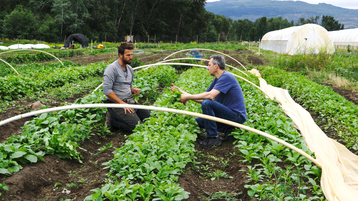 Local Flavours Program | Tourism Kelowna