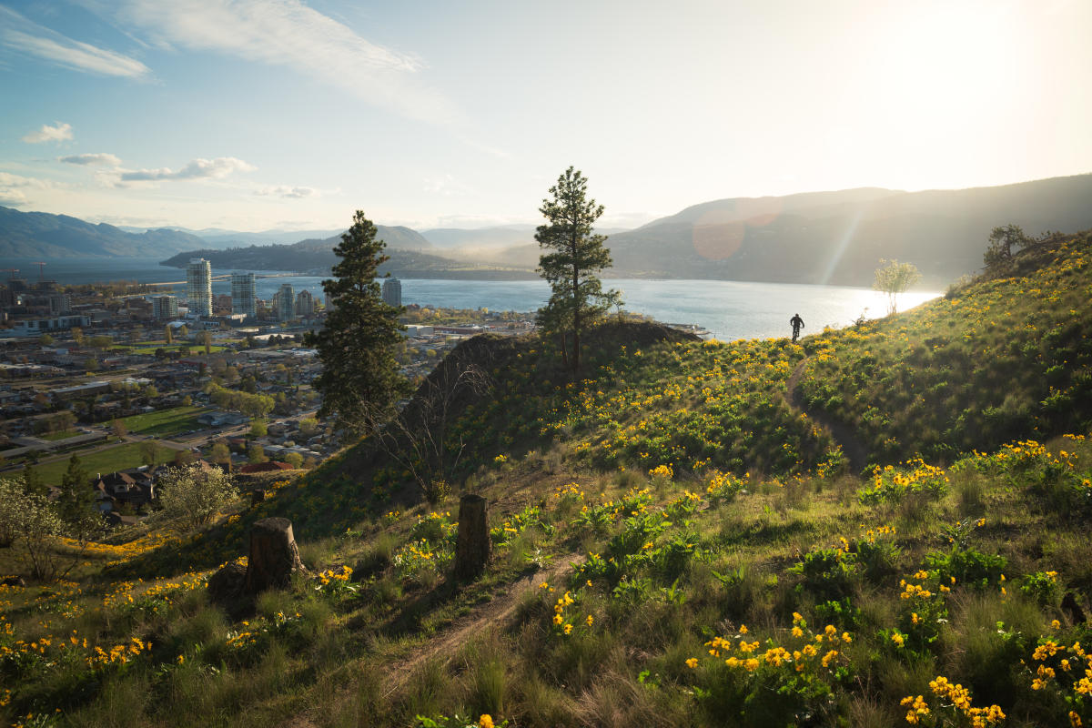 Spring in Kelowna | Blossoms and Fresh Flavours