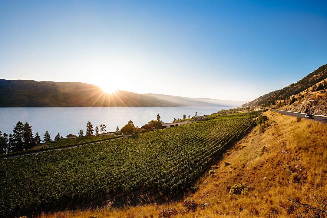 5 Fun Things To Do in Peachland Right Now