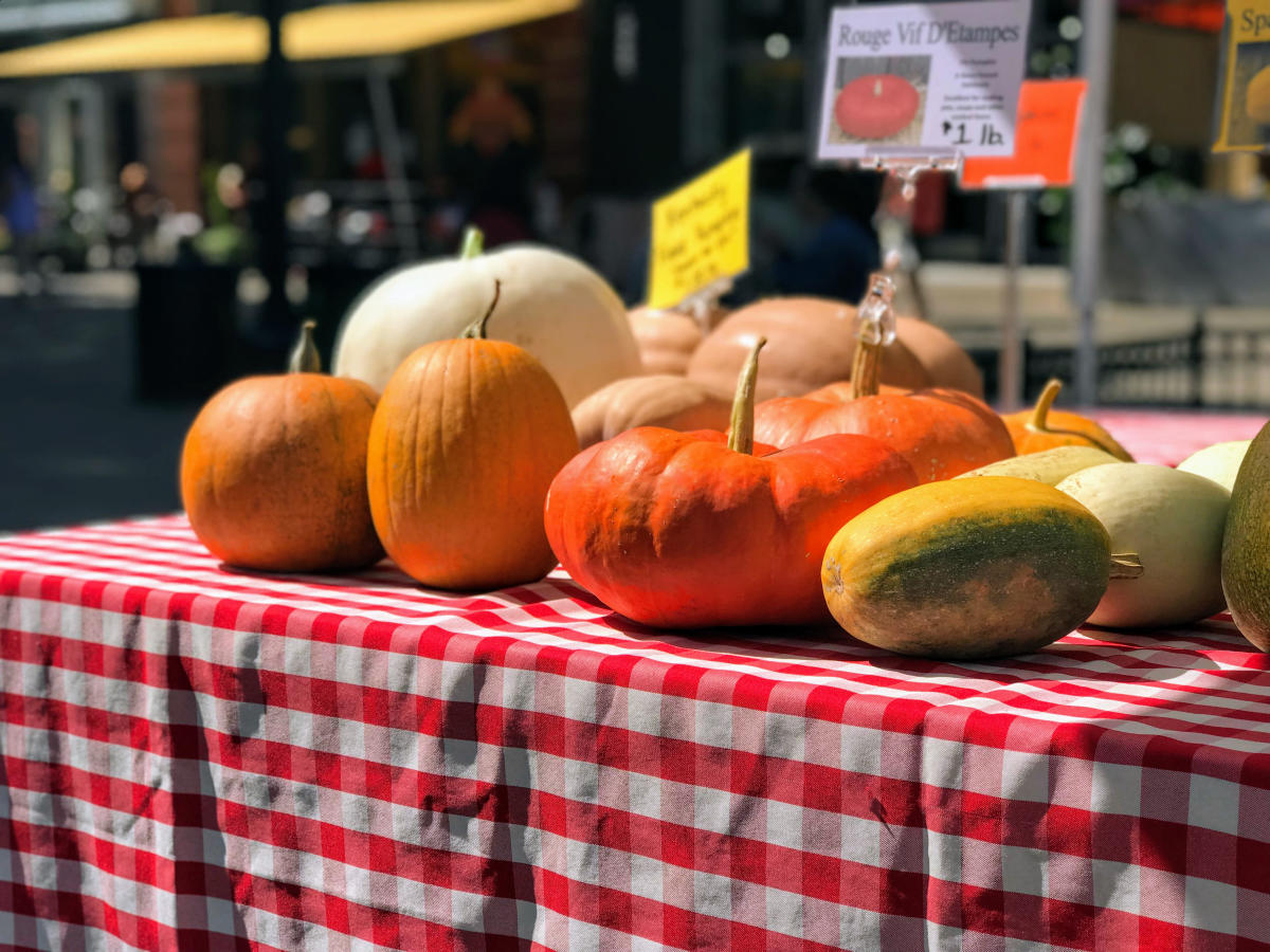 Knoxville Fall Events: Festivals, Pumpkin Patches & More