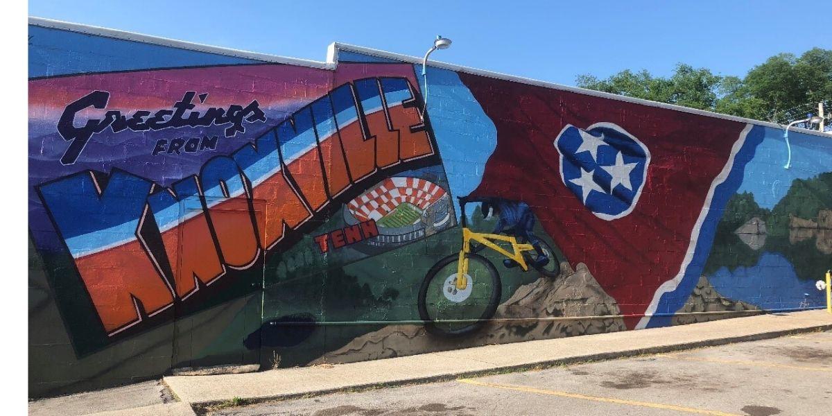 Visit Knoxville | Tennessee State Official Symbols