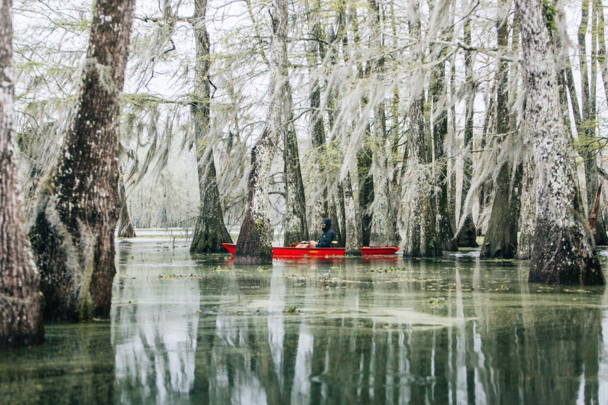 Lafayette, LA | Swamps & Bayous: Outdoor Adventure