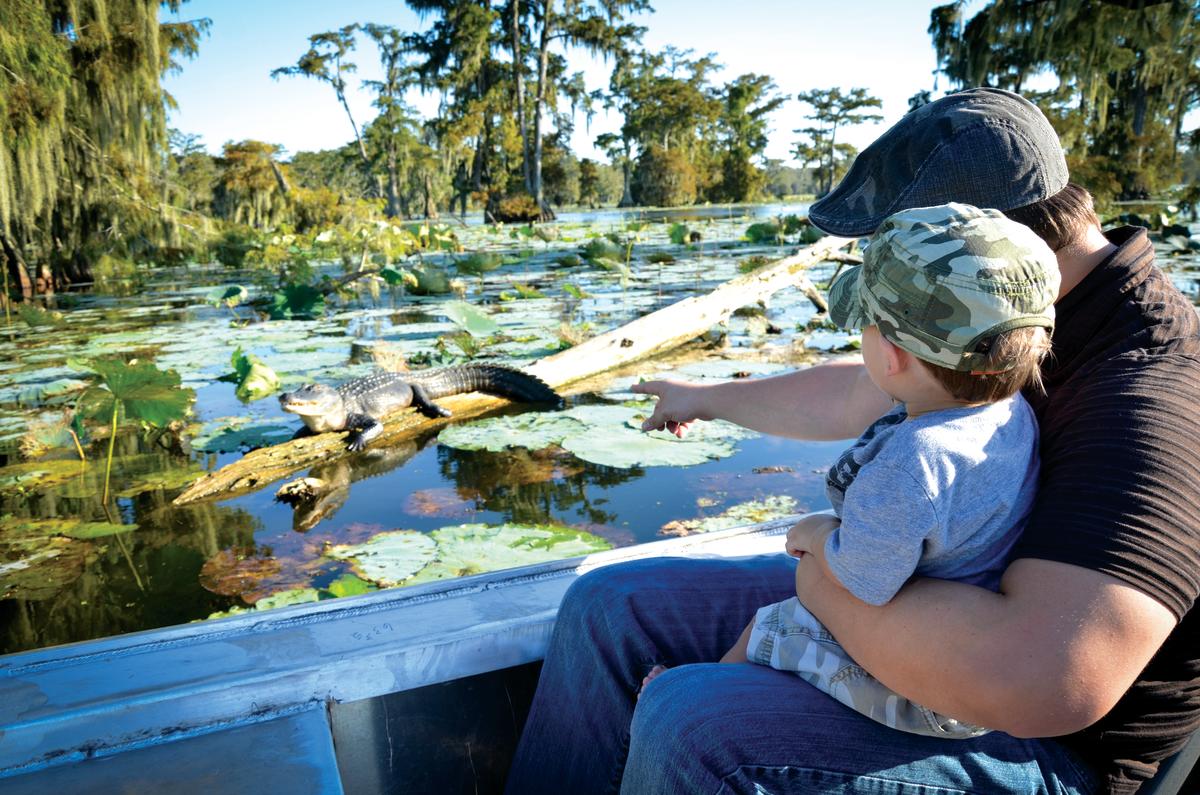 Swamp Tours in Lafayette, LA | Airboat & Boat Bayou Rides