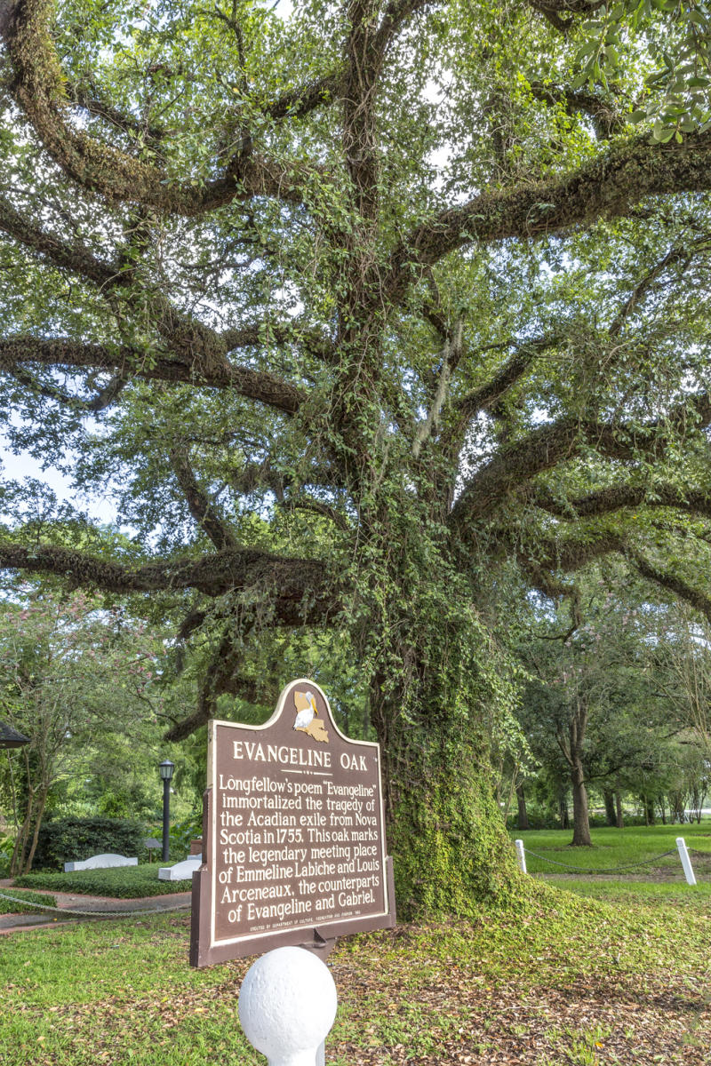 Legend of Evangeline in Lafayette, LA