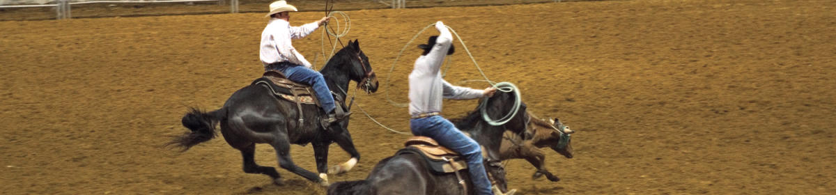 Request For Proposal for Sports Event in Lake Charles | Visit Lake Charles