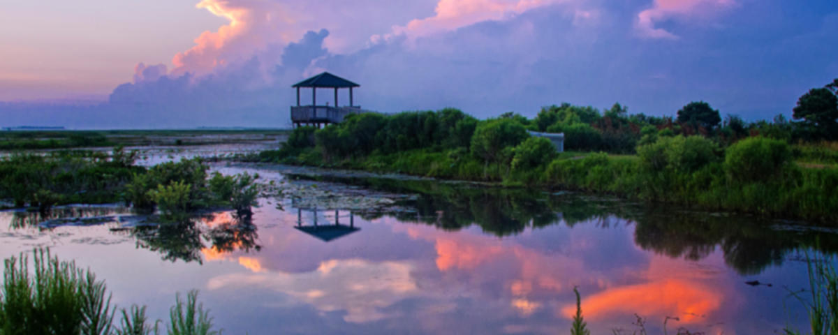 Keep Louisiana Beautiful Announces Love the Boot at Home