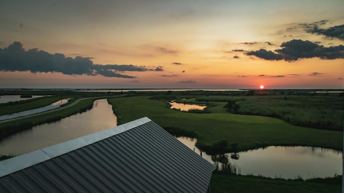 Explore Natural Wonders Along the Creole Nature Trail
