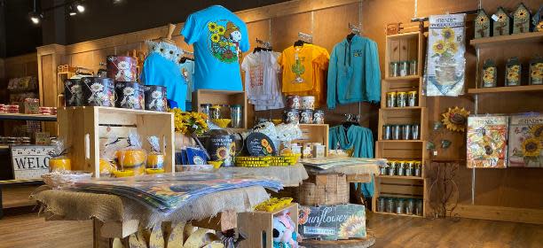 Cedar Point in 2021 – Time for the Celebration of a Lifetime