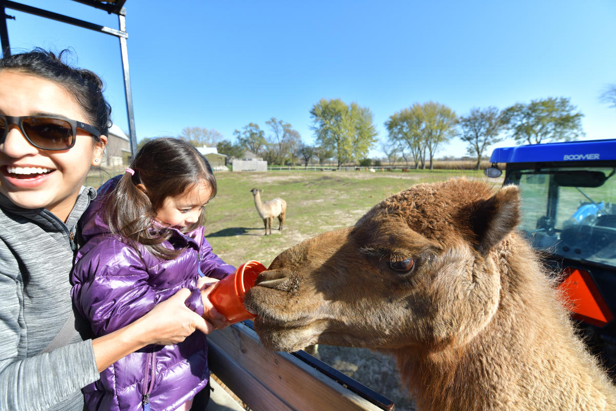 Family Fun in Lake Geneva | Things to Do with Kids