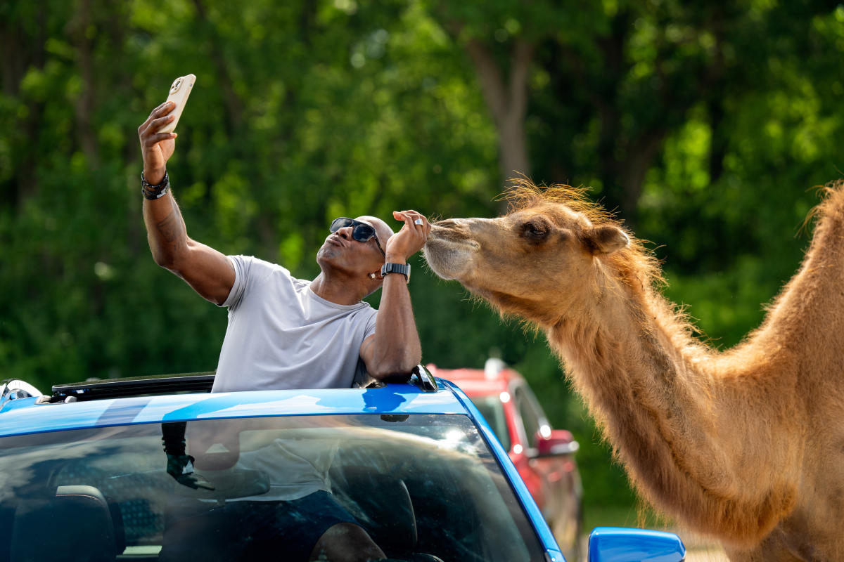 Unleashing the Wild Side of Lake Geneva: Your Guide to Animal Adventures