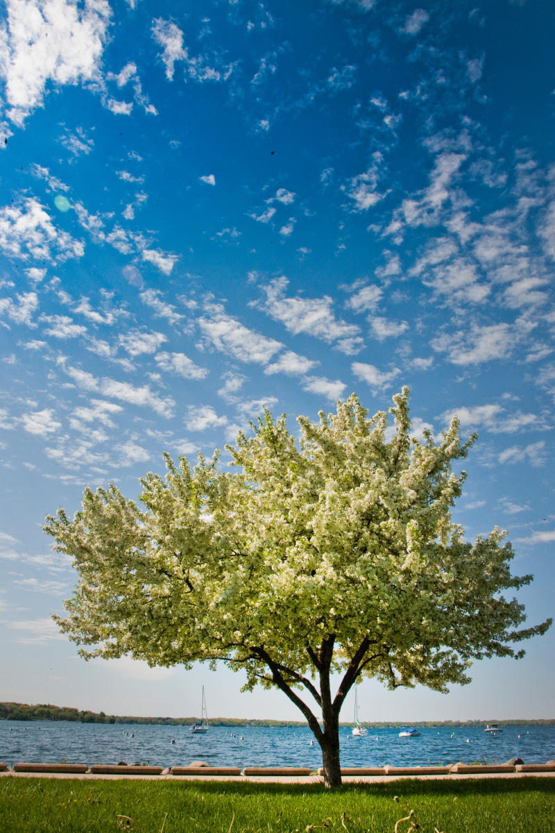 Spring in Lake Geneva, WI | Things to Do, Events & Weather