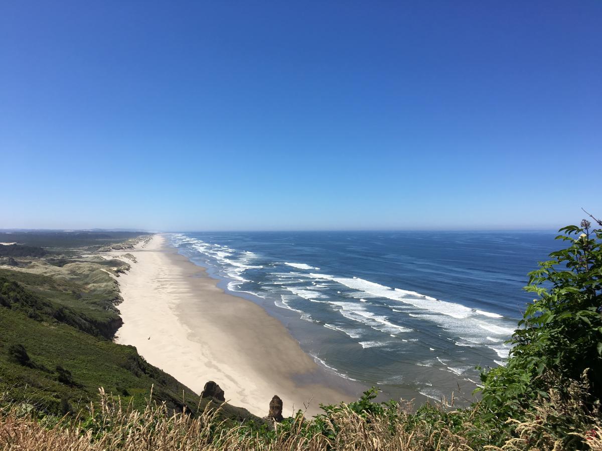 Partner Update | Travel Lane County