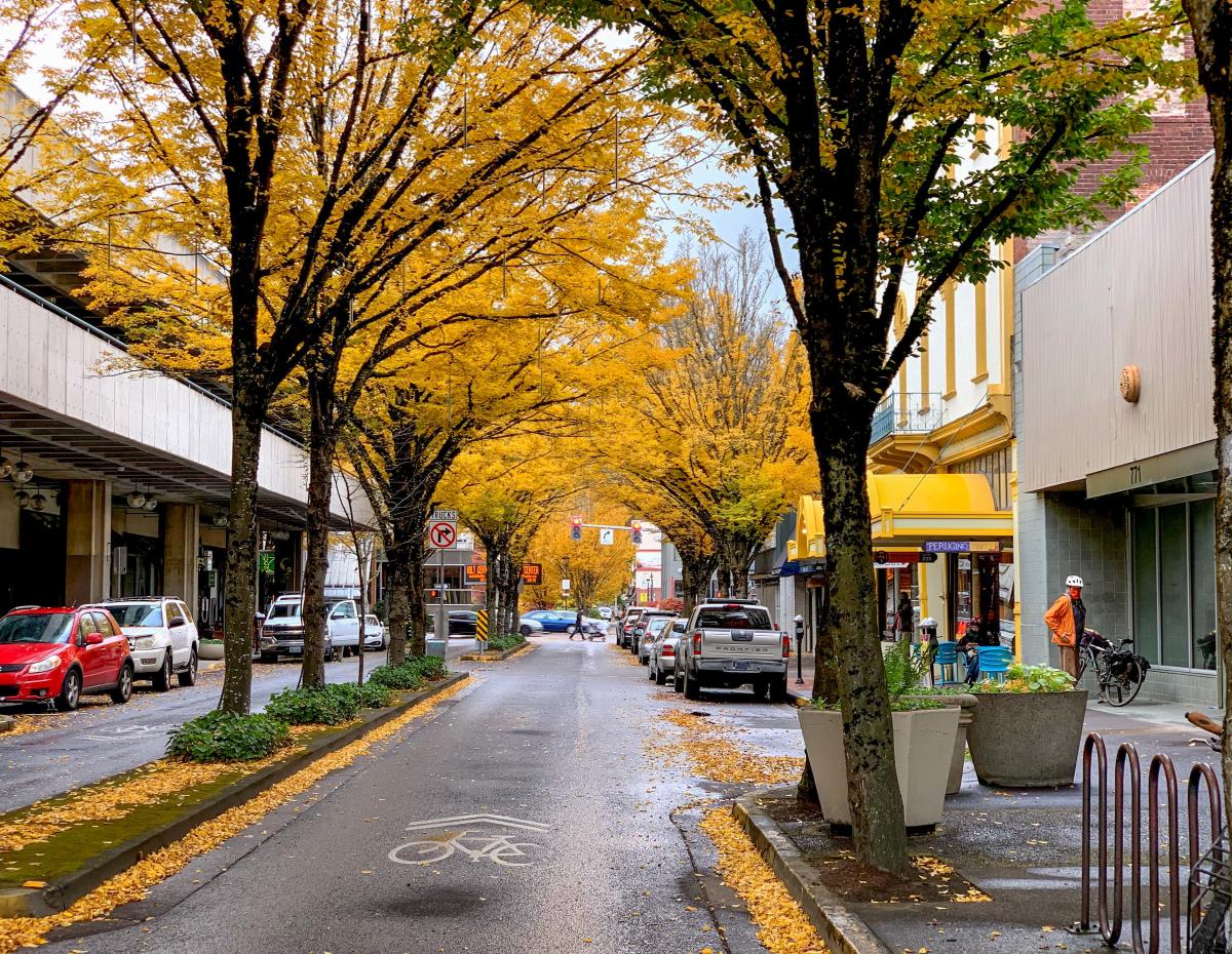 A Guide to Accessible Autumn Adventures | Eugene, Cascades & Oregon Coast