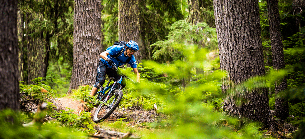 Oakridge Oregon | Official Visitor Information & Inspiration