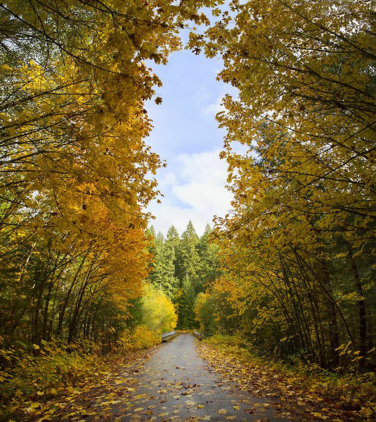 Oregon Fall Foliage Road Trips | Eugene, Cascades & Oregon Coast