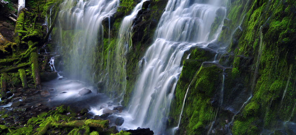 Proxy Falls Waterfall | Eugene, Cascades & Oregon Coast