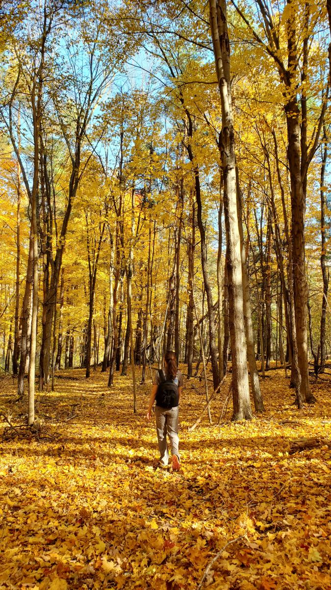 Trails & Hiking | Lansing, MI