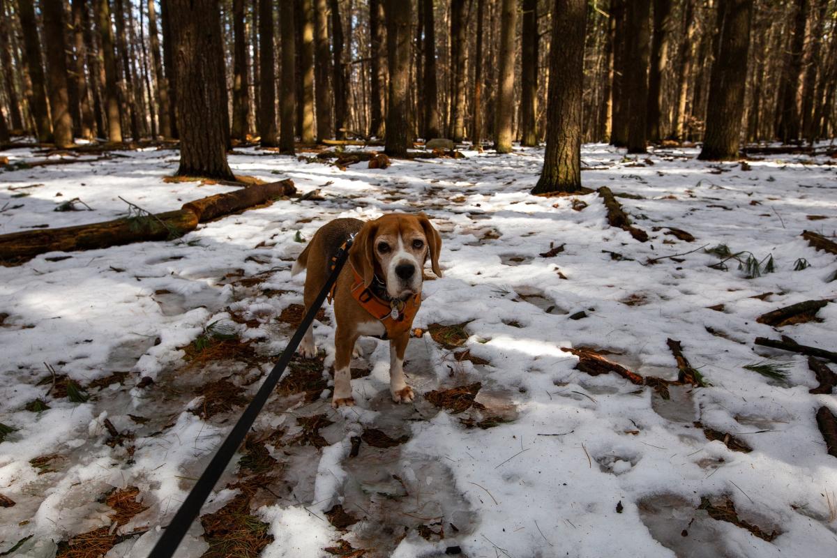 Trails & Hiking | Lansing, MI