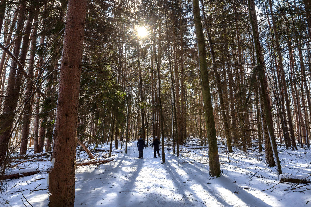 Trails & Hiking | Lansing, MI
