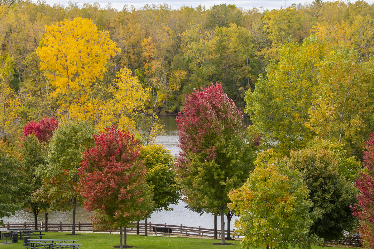 Parks & Gardens | Lansing, MI