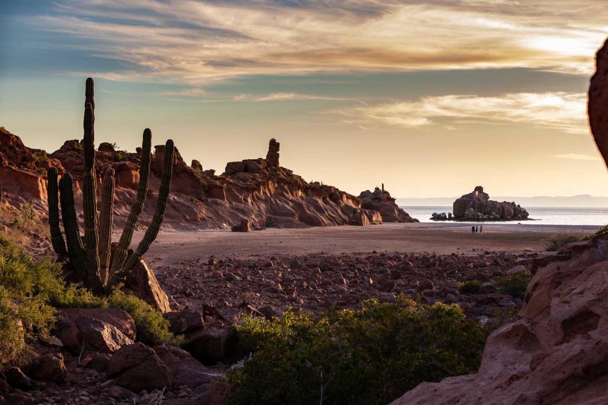 The dream Island that you can visit on your next trip to La Paz