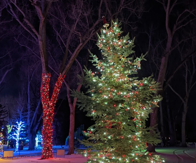 Winter Lights Festival