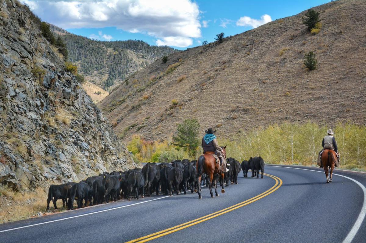 Woods Landing - Jelm, Wyoming | Visit Laramie
