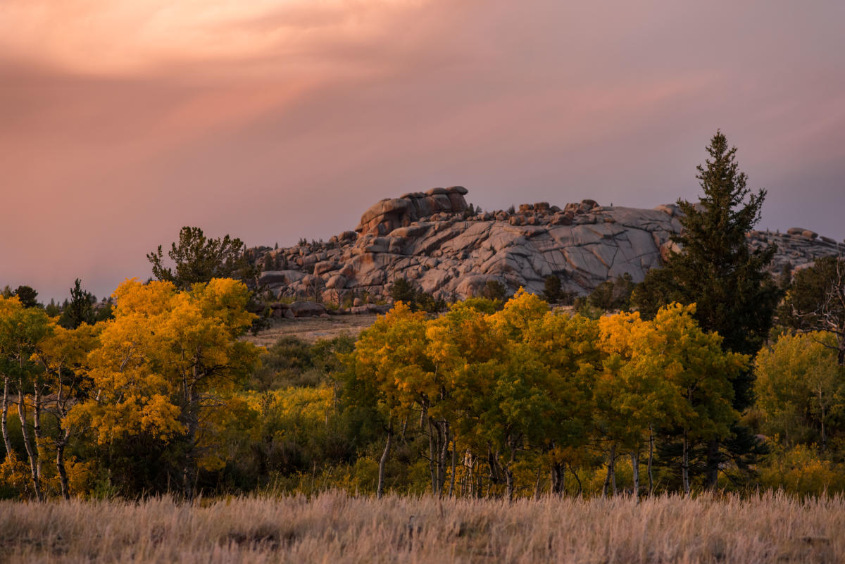 Fall Foliage Hiking Trails Near Laramie, WY | Visit Laramie