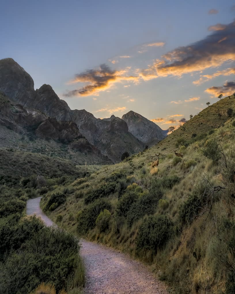 This Weekend - Visit Las Cruces, New Mexico
