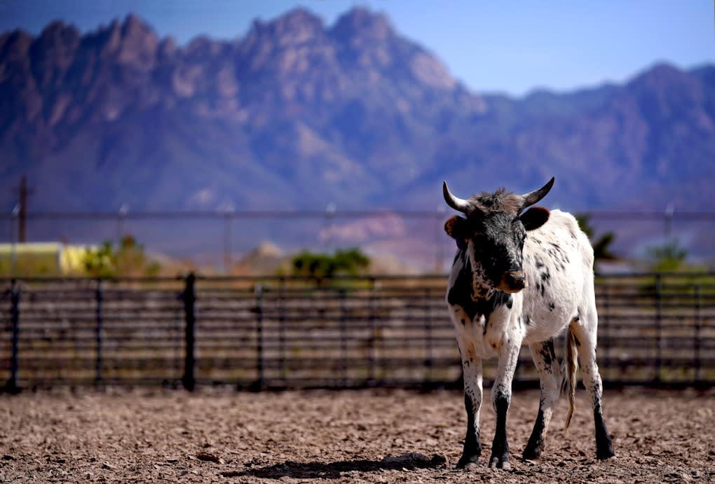 New Mexico Farm & Ranch Heritage Museum - Visit Las Cruces, New Mexico