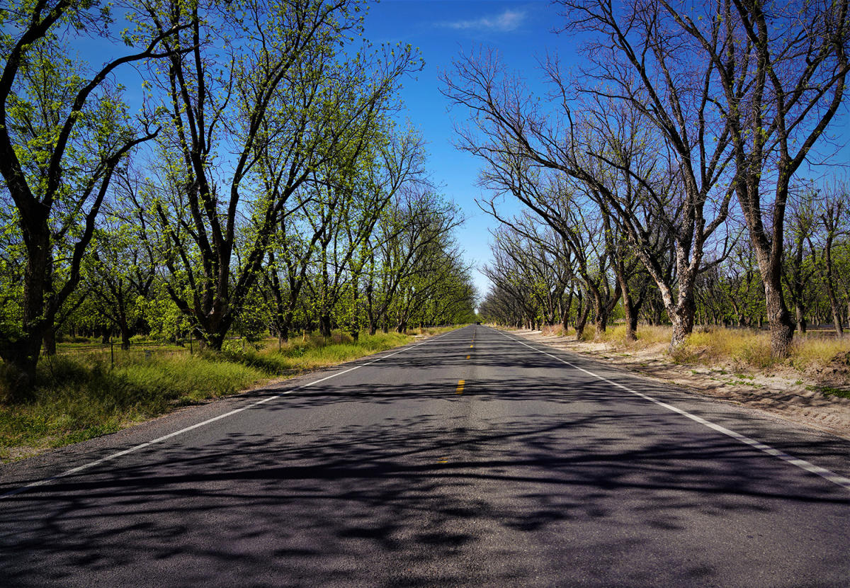 Virtual scenic drive: Heading down NM Highway 28